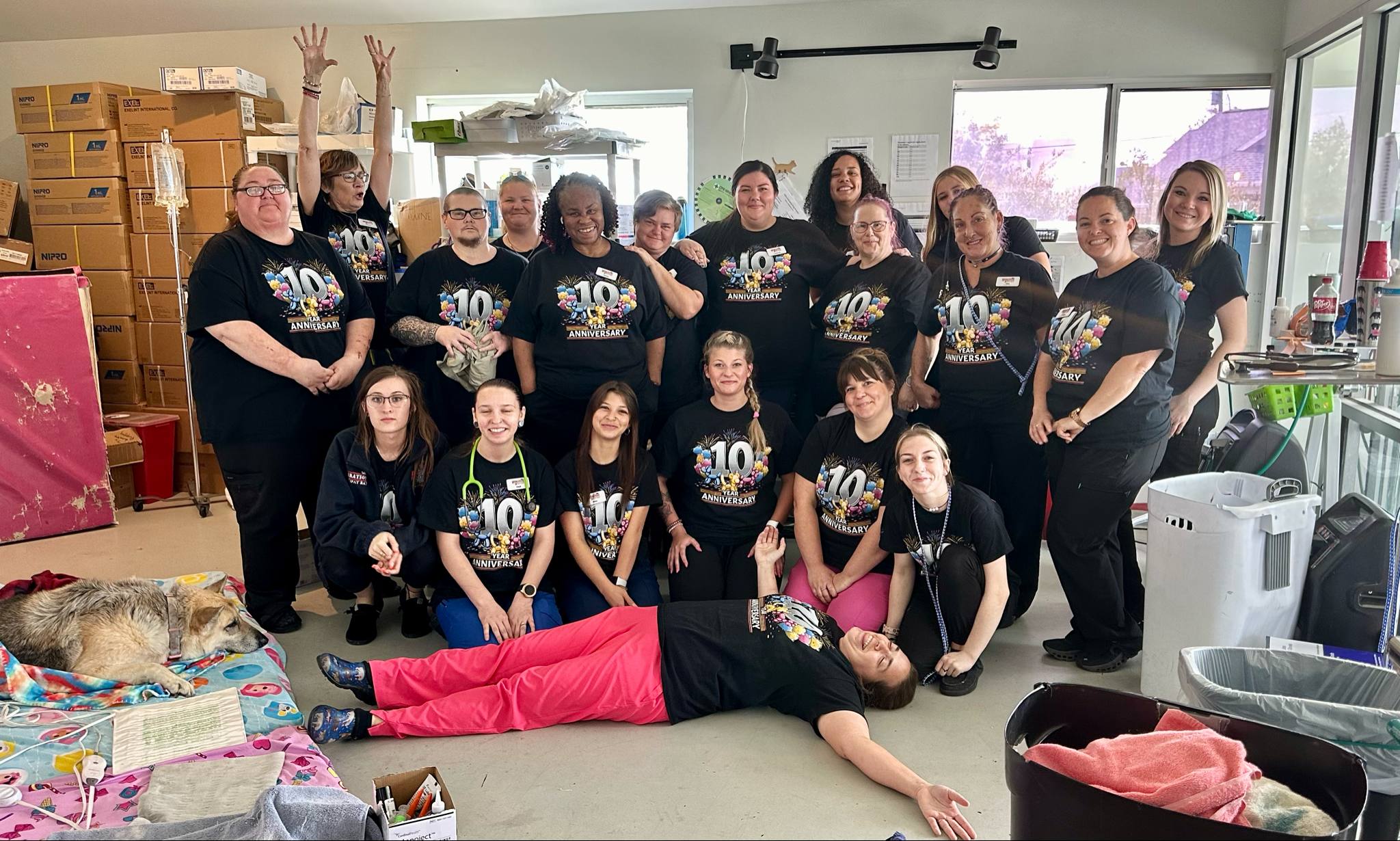 Our Work - Operation Spay Bay